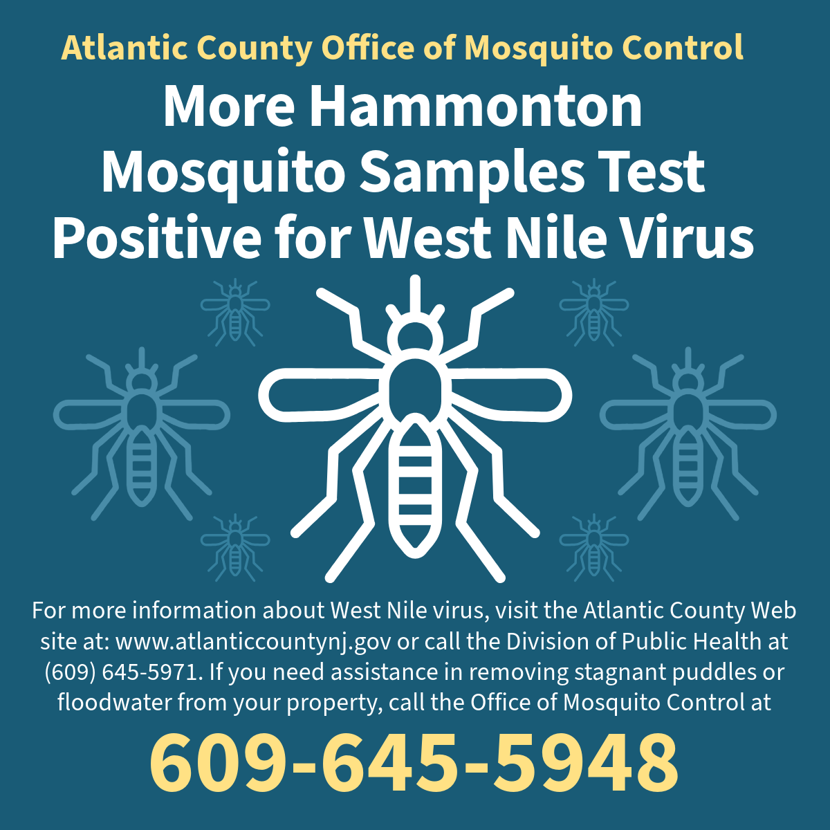 More Hammonton Mosquito Samples Test Positive for West Nile Virus ...